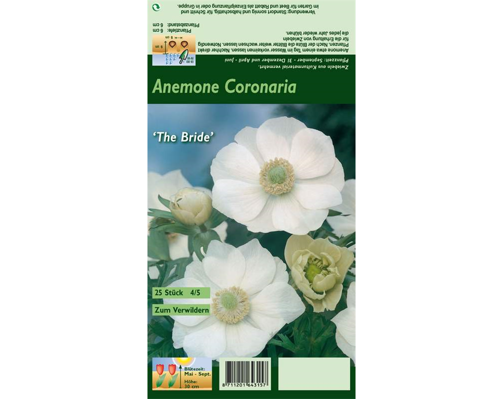 Garten-Windröschen 'The Bride', Anemone coronaria 'The Bride' weiß ...