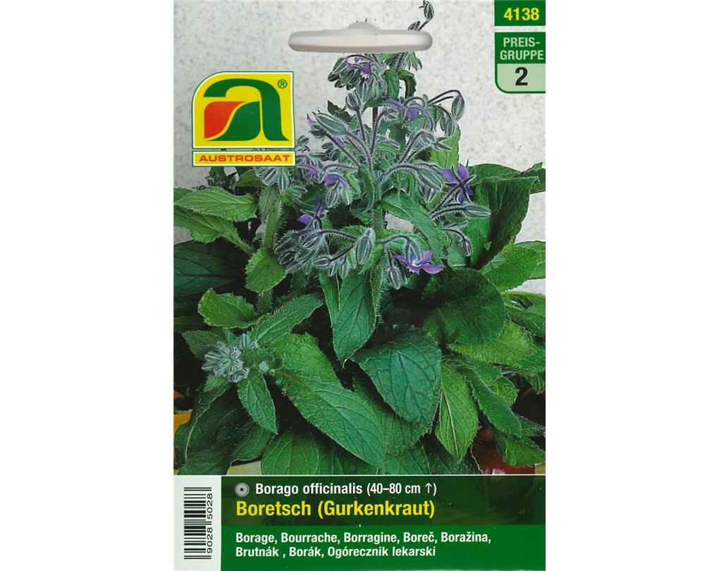 Borretsch, Borago officinalis - Seebauer