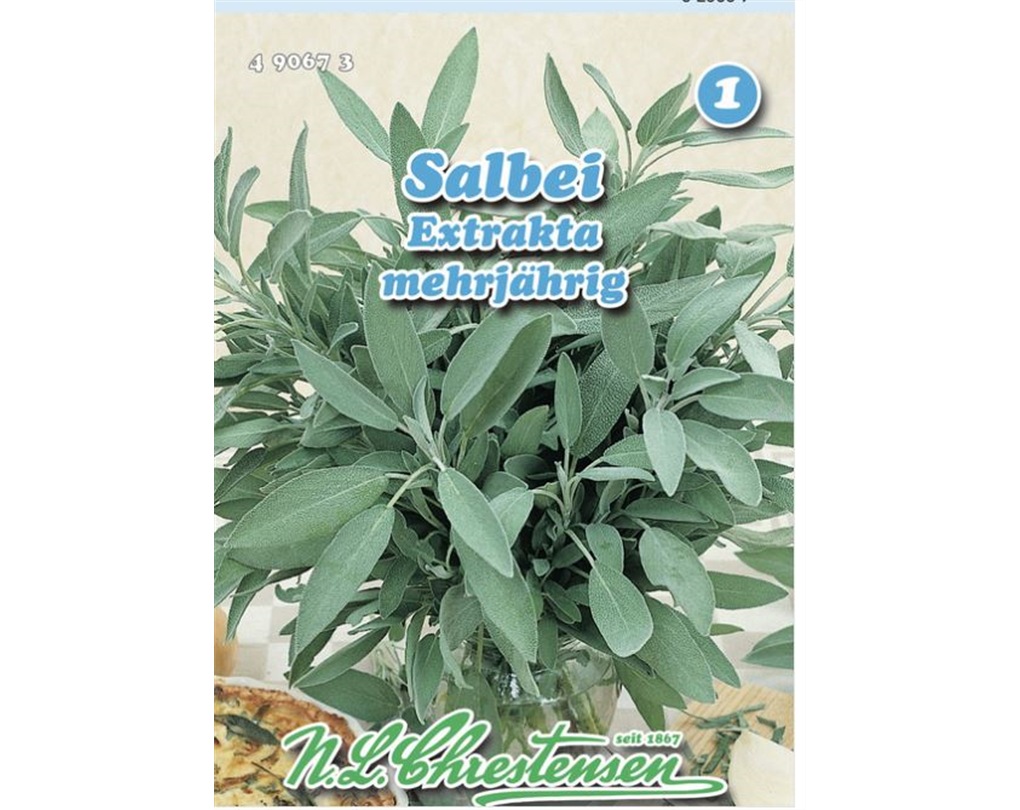 Garten-Salbei 'Extrakta', Salvia officinalis 'Extrakta' - Seebauer