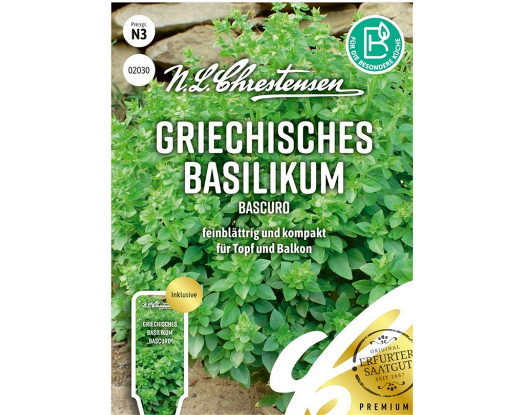 Griechisches Basilikum 'Bascuro', Ocimum basilicum 'Bascuro' - Seebauer