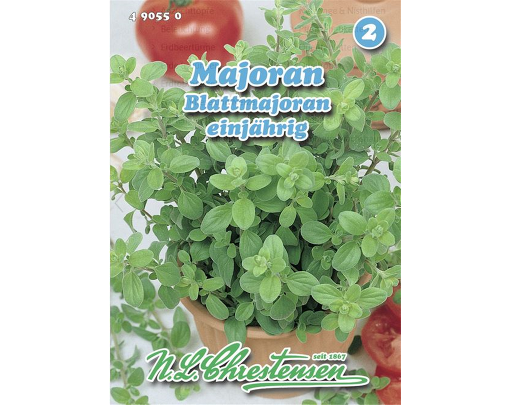 Majoran, Origanum majorana - Seebauer