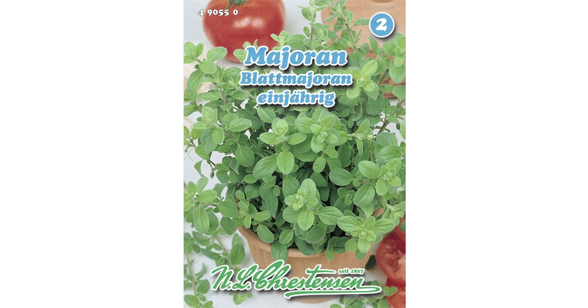 Majoran, Origanum majorana - Seebauer
