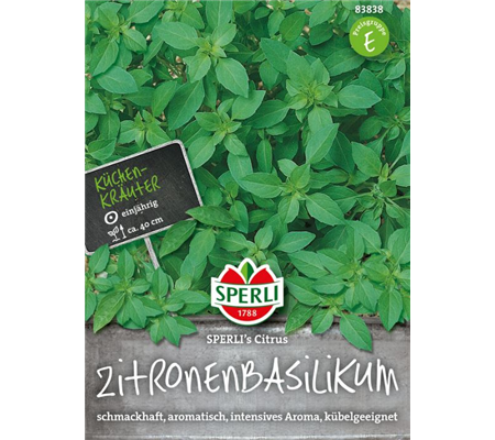 Rotblättriges Basilikum 'Rubin', Ocimum basilicum 'Rubin' - Seebauer