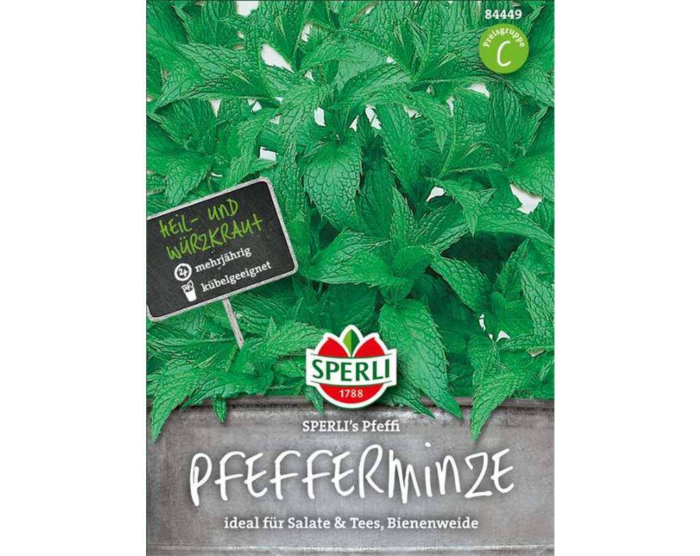 Pfefferminze 'Pfeffi', Mentha piperita 'Pfeffi' - Seebauer