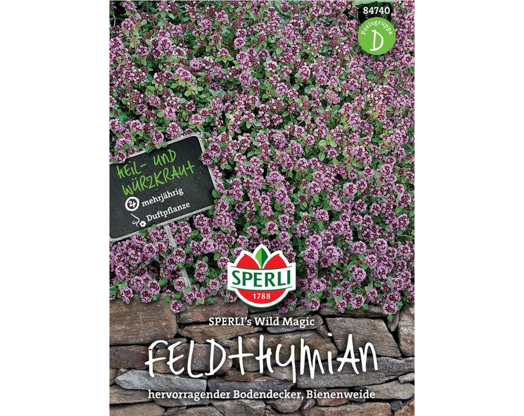 Feldthymian 'Wild Magic', Thymus serpyllum 'Wild Magic' - Seebauer