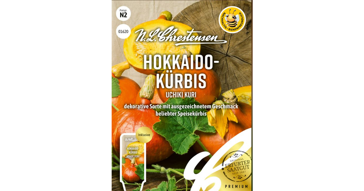 Hokkaido-Kürbis 'Uchiki Kuri', Cucurbita maxima 'Uchiki Kuri' - Seebauer