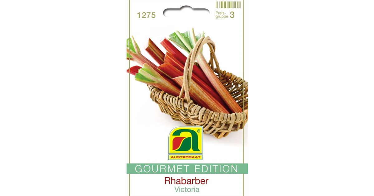 Rhabarber 'Victoria', Rheum rhabarbarum 'Victoria' - Seebauer