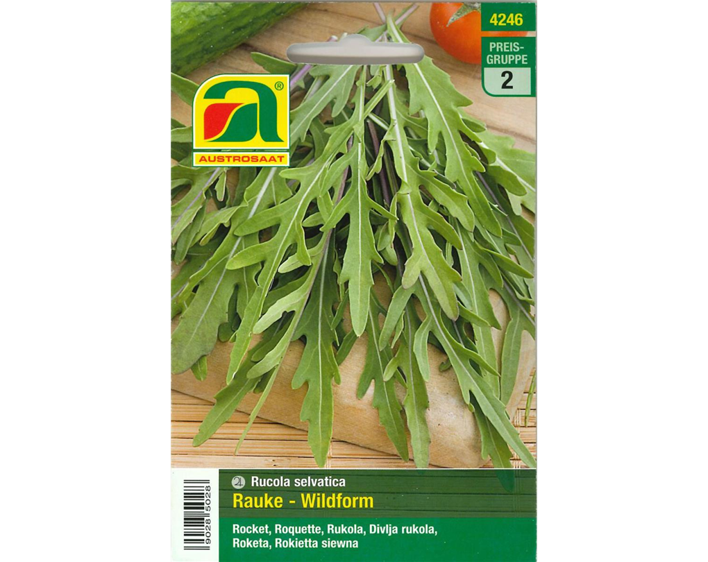 Rauke / Rucola Wildform, Rucola selvatica - Seebauer