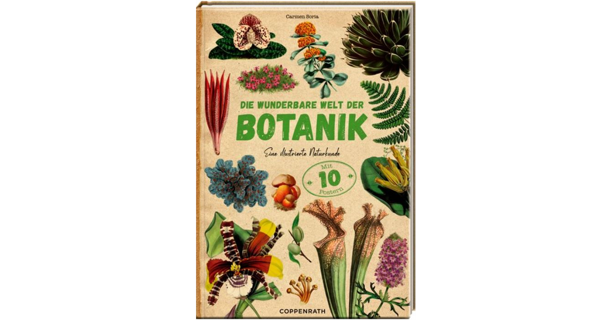 Die wunderbare Welt der Botanik, Eine illustrierte Naturkunde - Seebauer