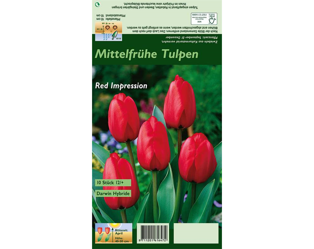 Darwin-Tulpe 'Red Impression', Tulipa 'Red Impression' rot - Seebauer