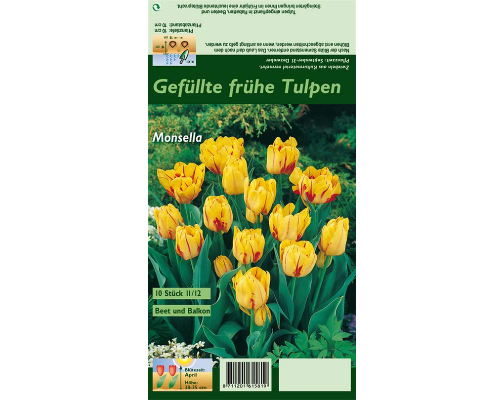 Gefüllte Tulpe 'Monsella', Tulipa 'Monsella' gelb-rot - Seebauer